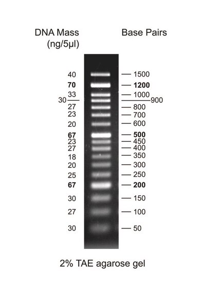 DirectLoad™ Plus 50bp DNA Ladder | DPLUS-50